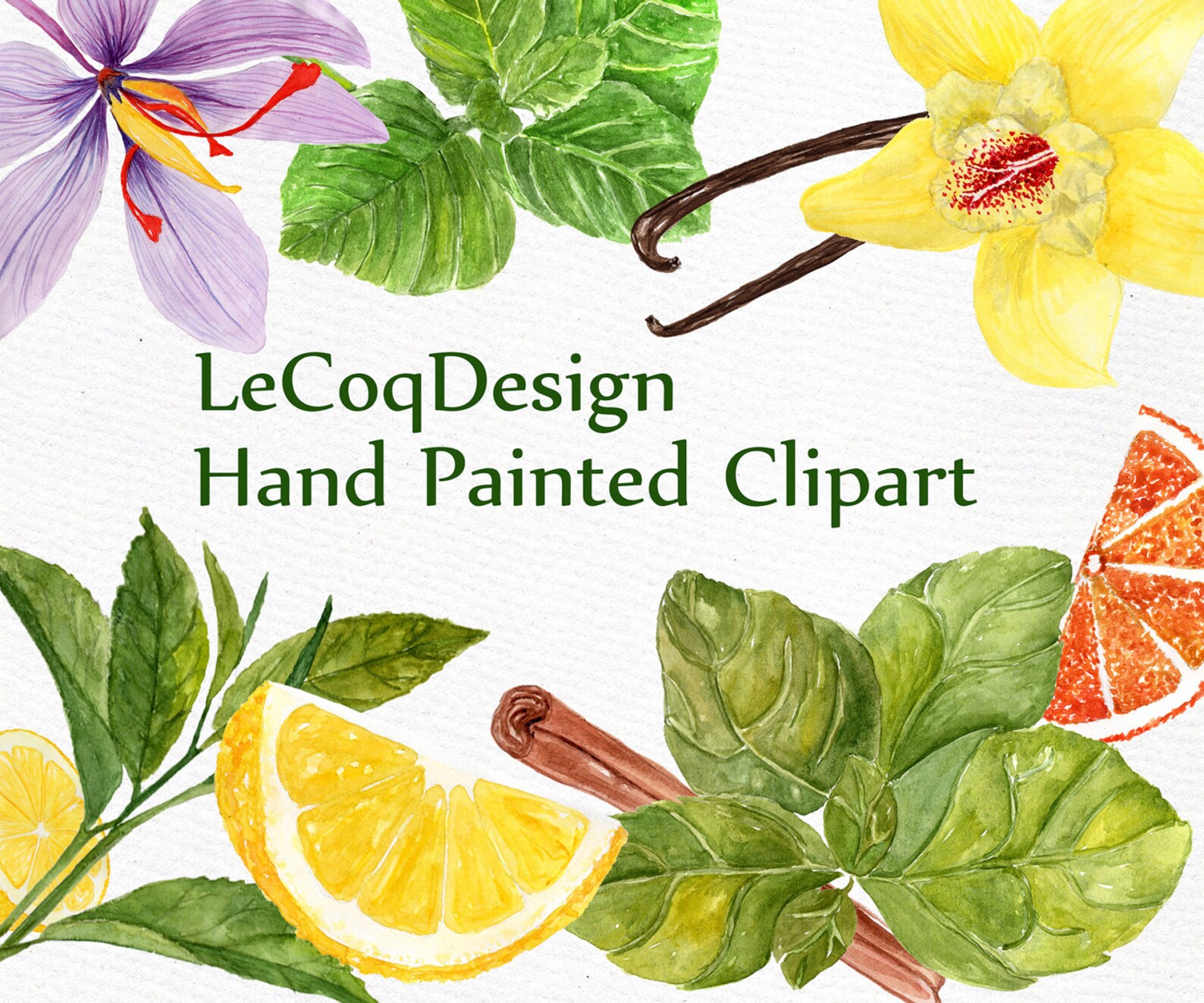 Herbs and Spices Clipart: watercolor Herbs Herb - Etsy