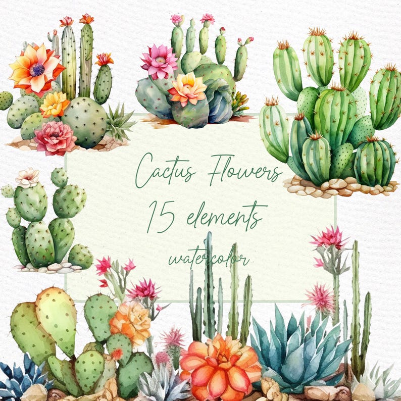 Watercolor Cactus Clipart Set: Blooming Desert Plants (PNG, 300 Dpi) - Etsy