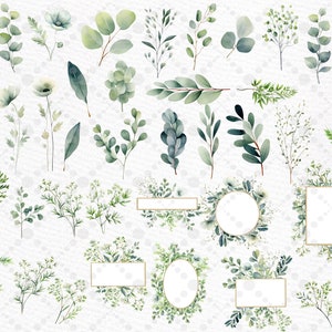 Watercolor Greenery Clipart: Eucalyptus, Frames, Borders (PNG, 39 ...