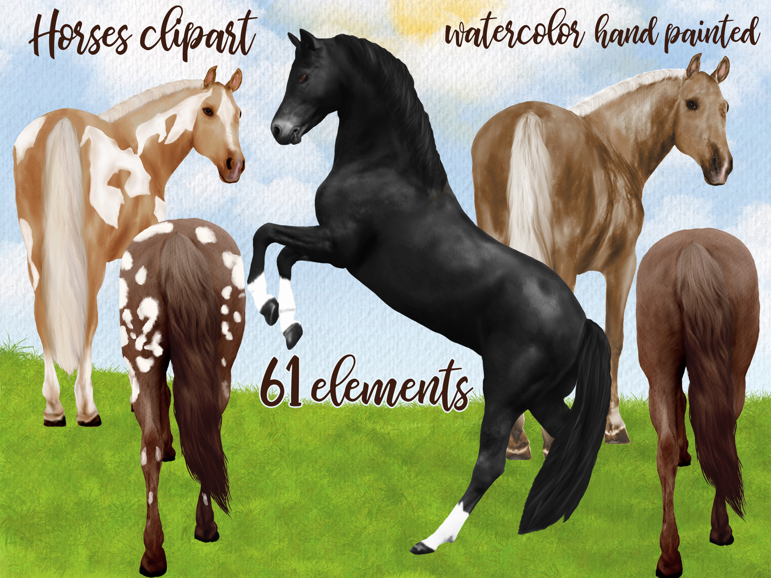 Watercolor Horse Clipart: "horses Clipart" Horse Breeds Horse Png ...