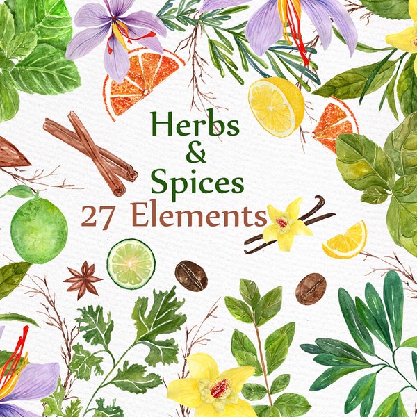 Watercolor Herbs - Etsy