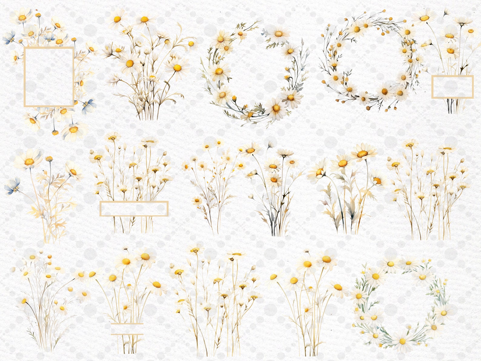 Daisy Watercolor Clipart: watercolor WHITE Flowers Wildflowers Clipart ...