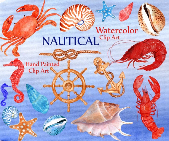 Nautical Watercolor Clipart: beach ANIMALS Clipart - Etsy