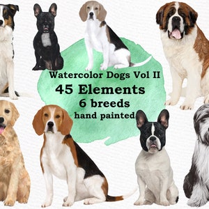 Dog Clipart: "watercolor Dogs" Dog Breeds Pet Clipart Puppies Clipart ...