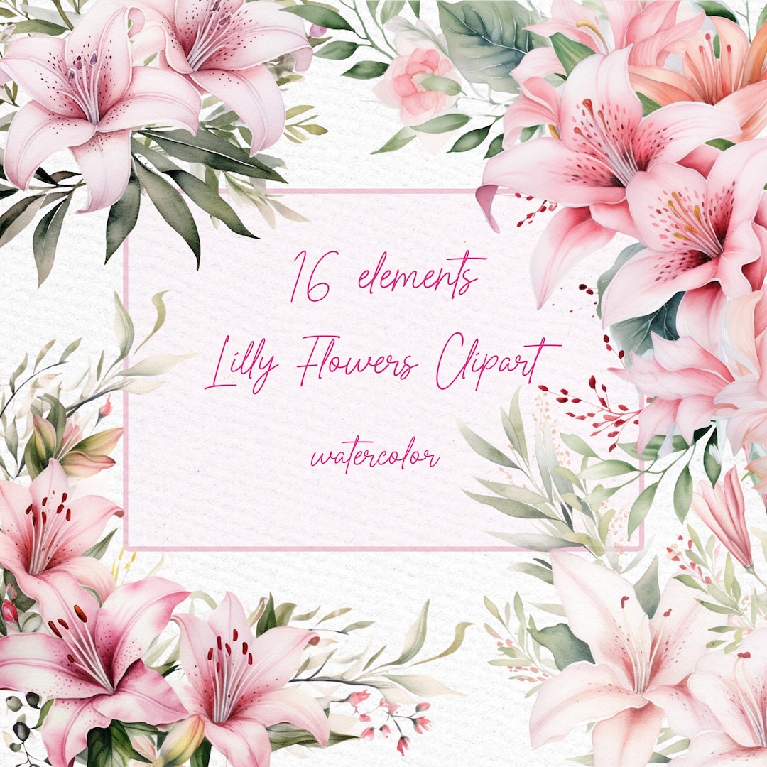 Watercolor Pink Lily Clipart: Floral Bouquets & Borders (PNG) - Etsy