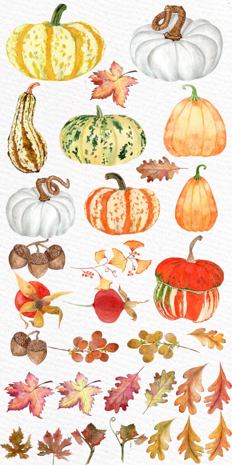 Watercolor Pumpkin Clipart: "autumn Clipart" Fall Clipart Autumn Leaves ...