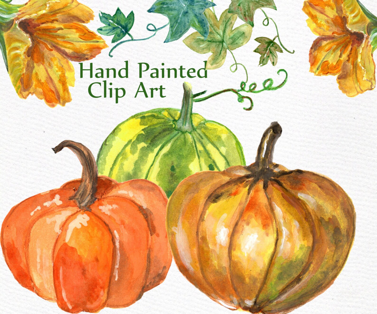 Watercolor Pumpkin Clipart: pumpkin CLIP Art | Etsy