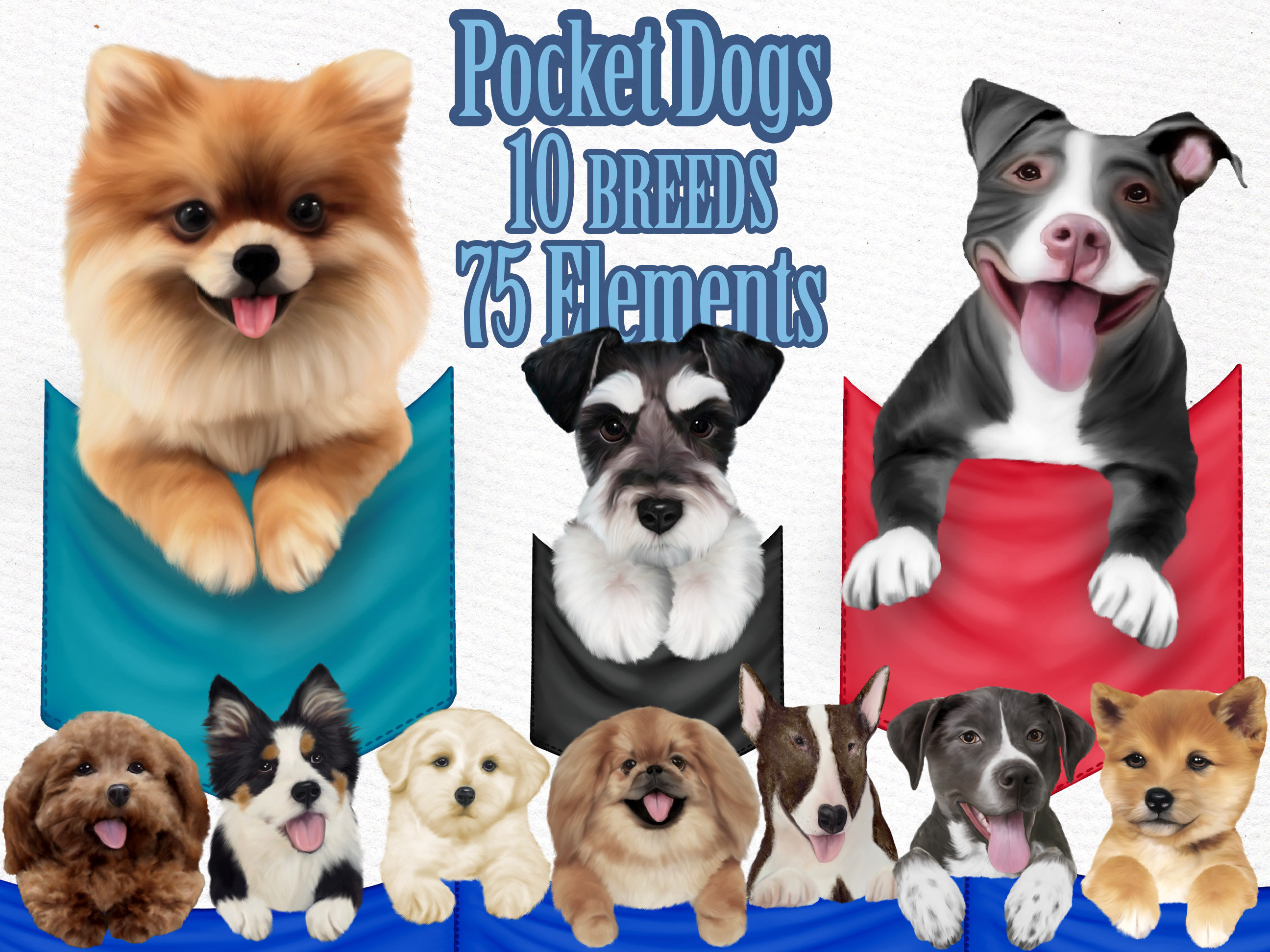 Pocket Puppies Breeds