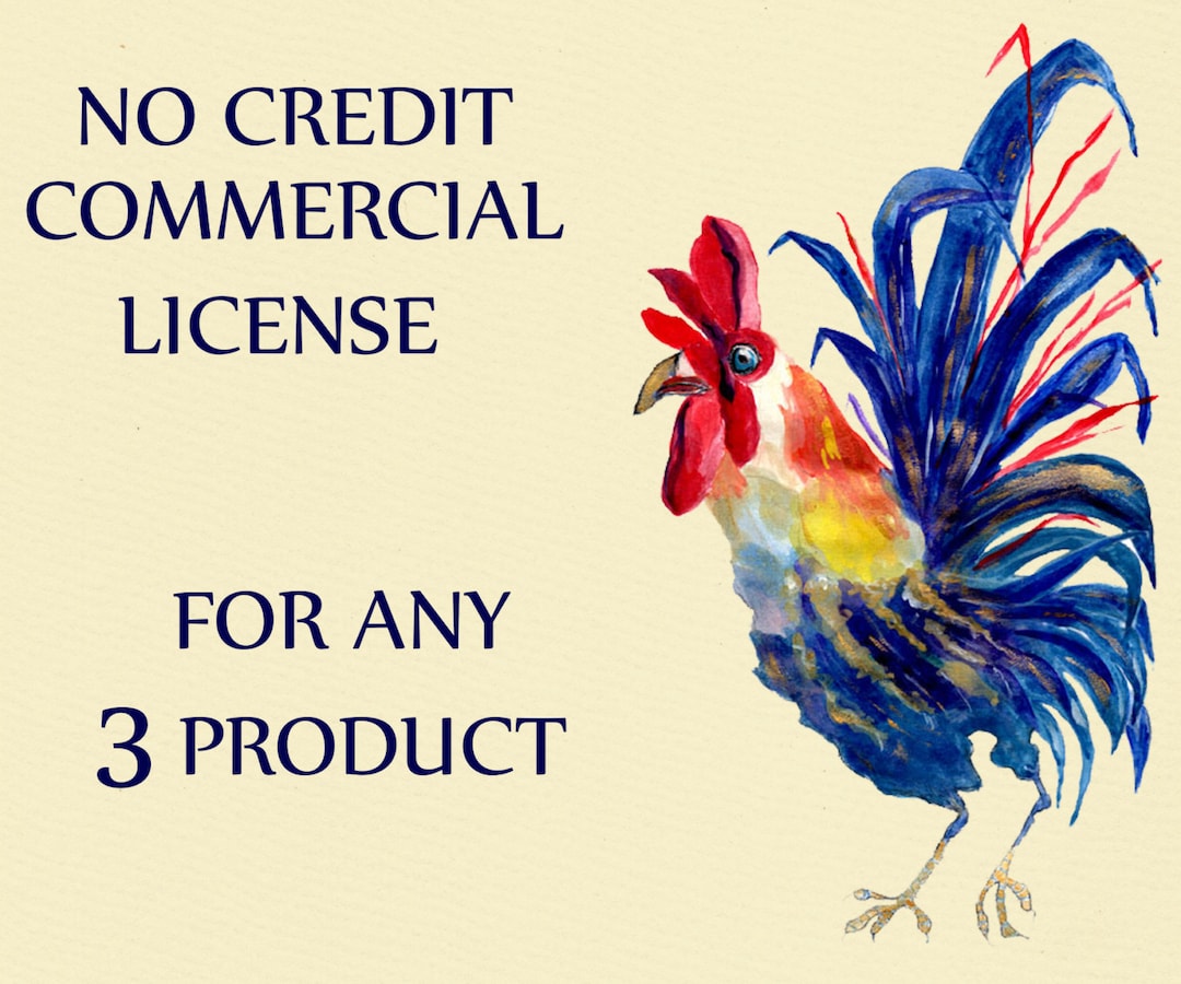 Limited Commercial License - Any 3 Products - Etsy