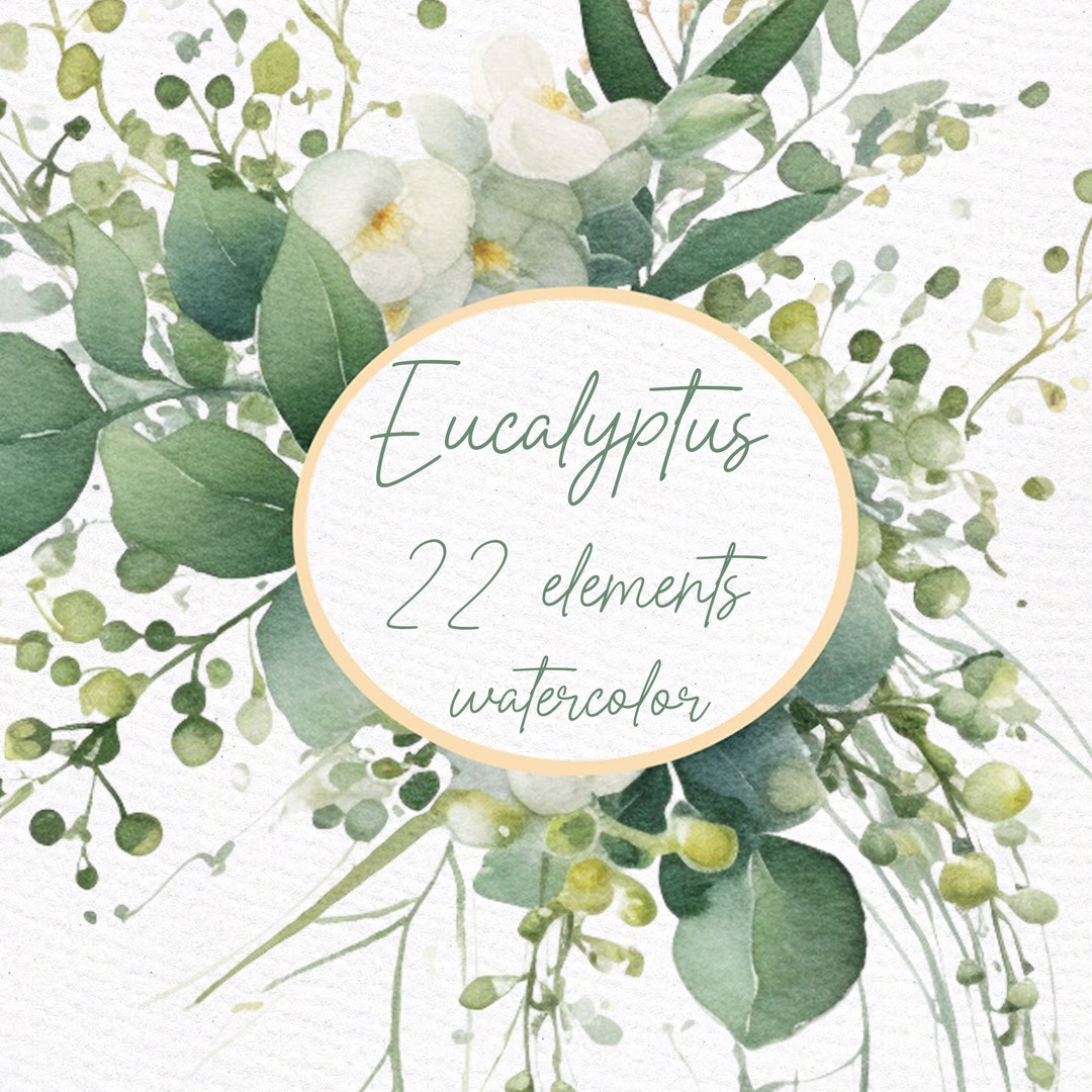 Watercolor Eucalyptus Clipart: Greenery Frames, Borders, Wreaths (PNG ...