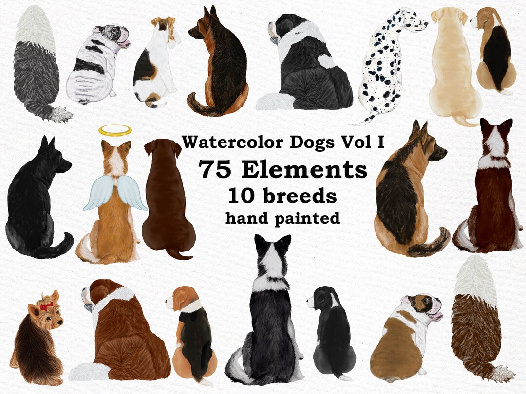 Watercolor Dog Clipart Bundle: 75 PNG Files, 10 Breeds (digital ...