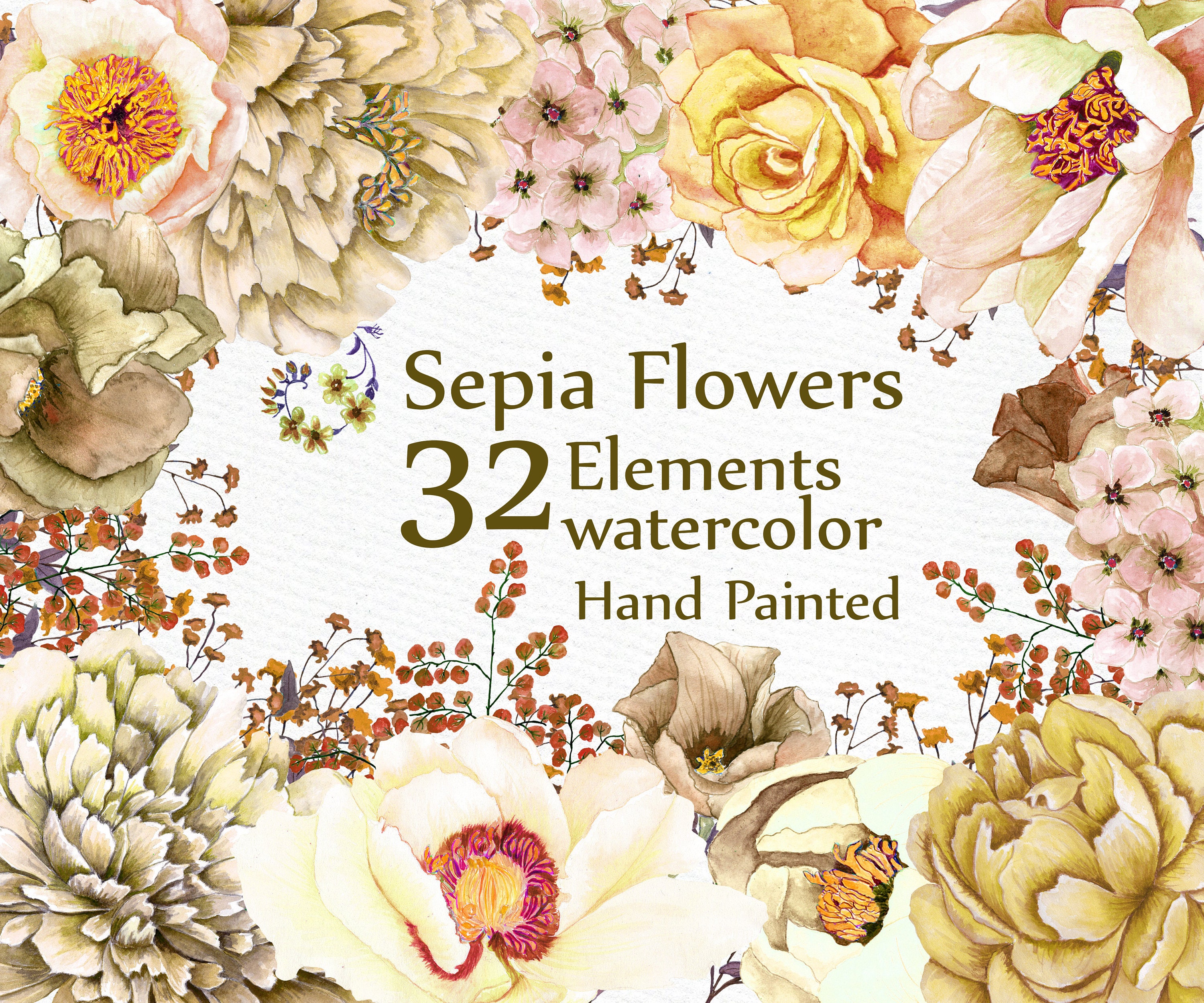 Watercolor Clipart: flowers Clipart Sepia Brown - Etsy