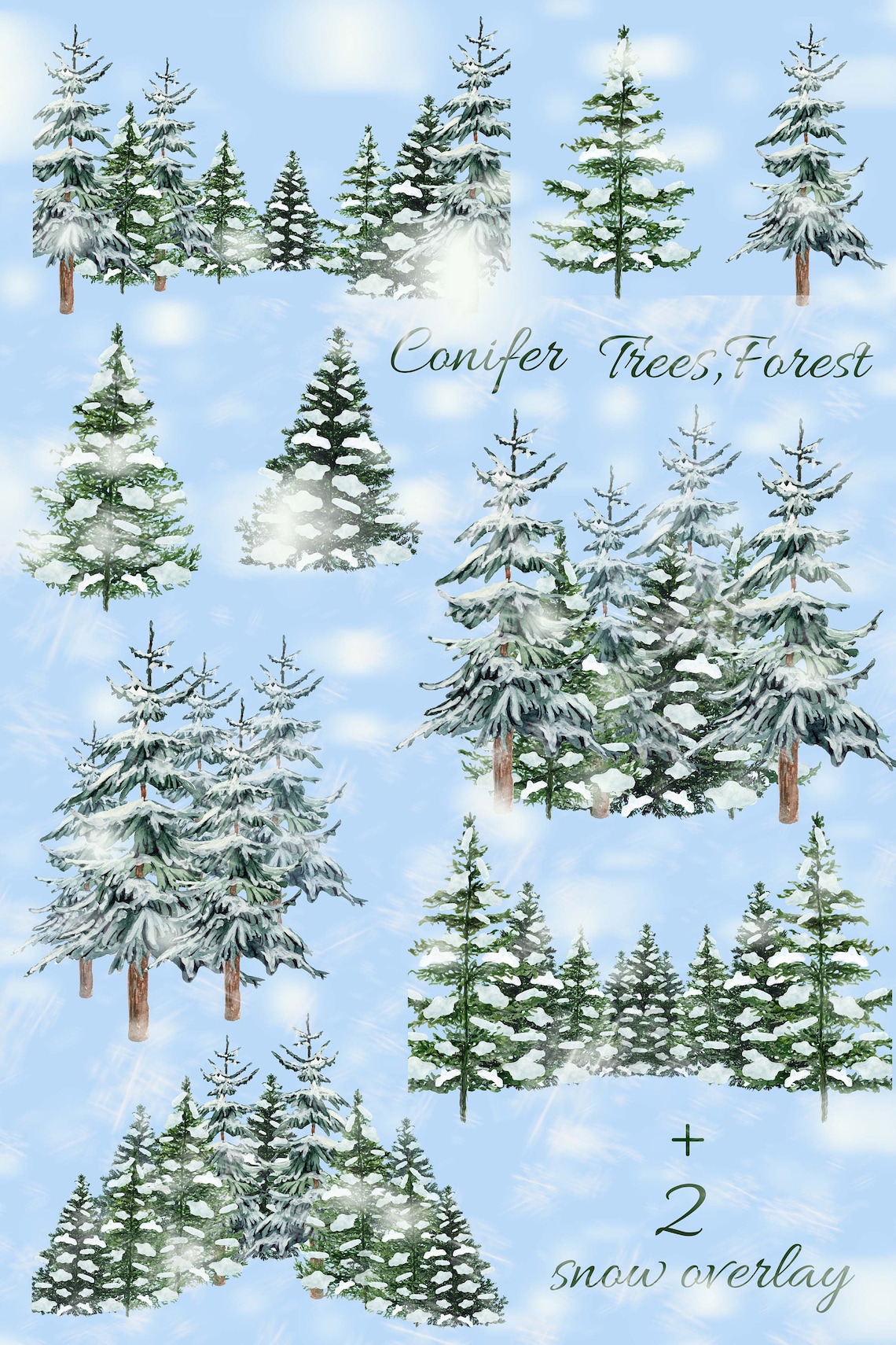 Winter Forest Clipart "forest Clipart" Pine Trees Christmas Tree ...