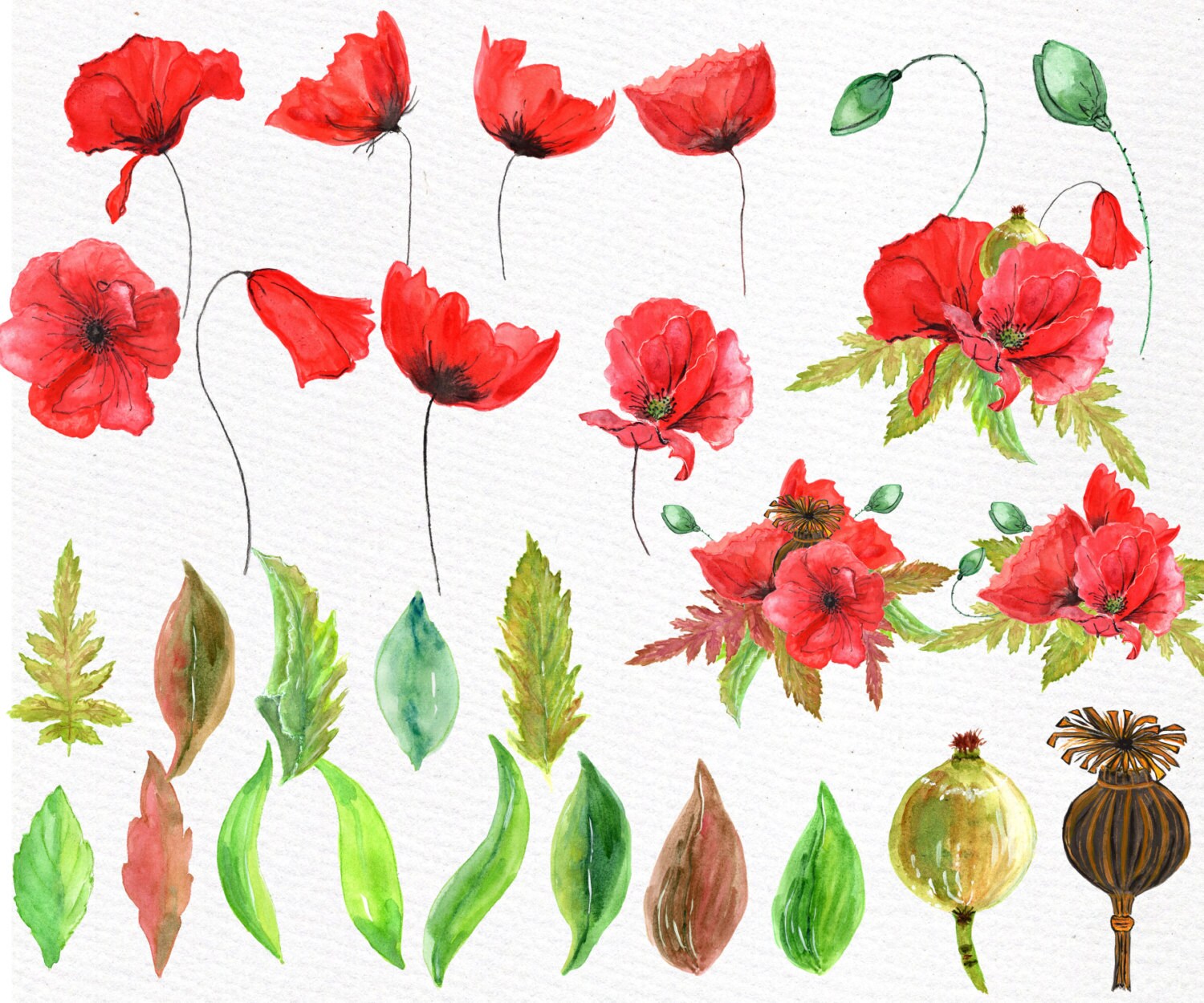 Watercolor Poppies Clipart: poppies CLIP Art - Etsy