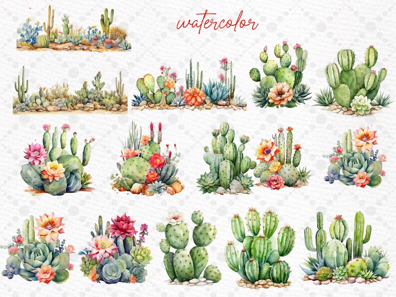 Watercolor Cactus Clipart Set: Blooming Desert Plants (PNG, 300 Dpi) - Etsy