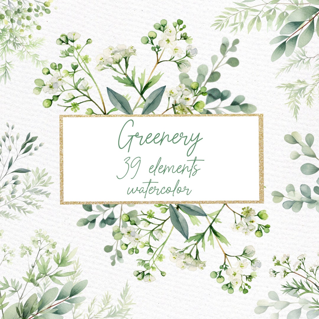 Greenery Watercolor Clipart: "botanical Clipart" Eucalyptus Clipart ...