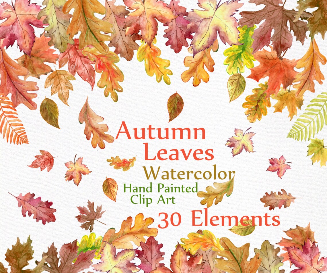 Watercolor Leaves Clipart: autumn LEAVES Clipart - Etsy
