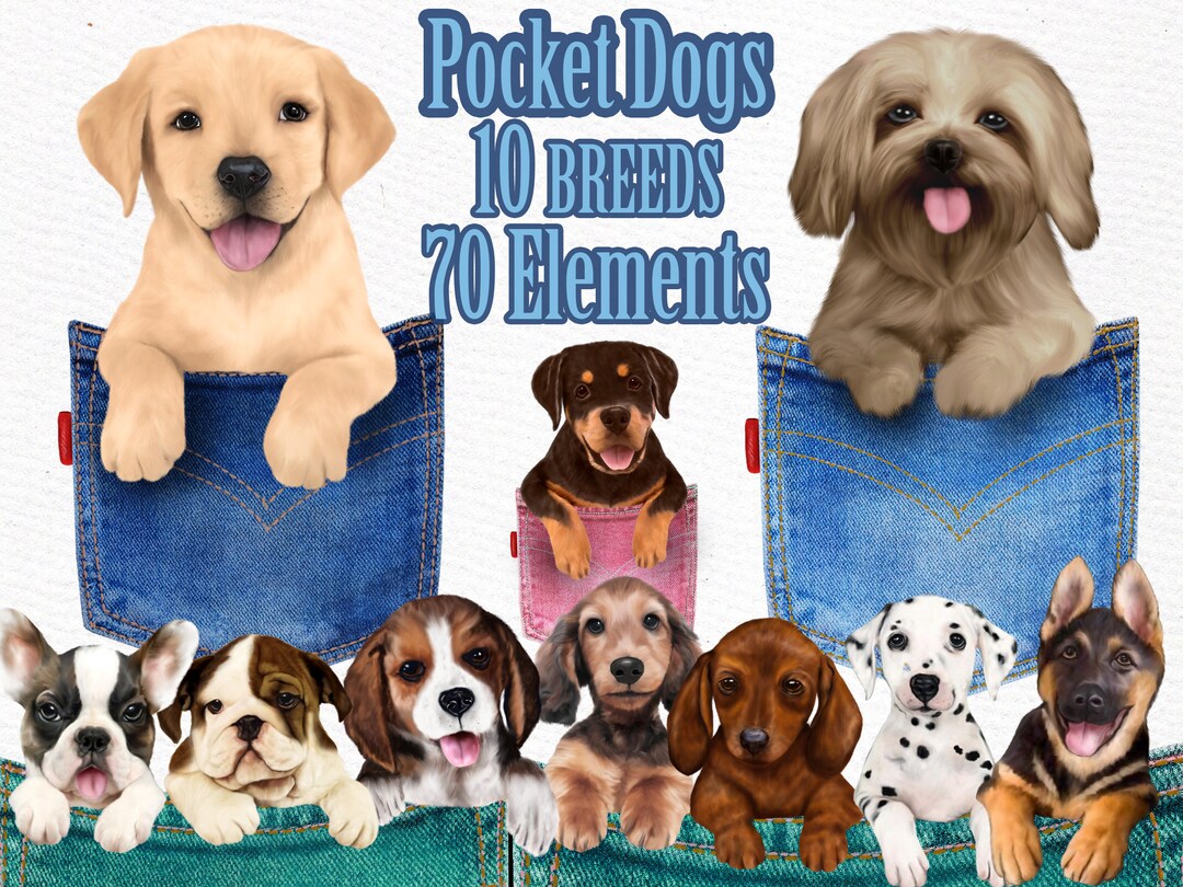 Pocket Dogs Clipart: "puppies Clipart" Dog Breeds Clipart Pocket ...