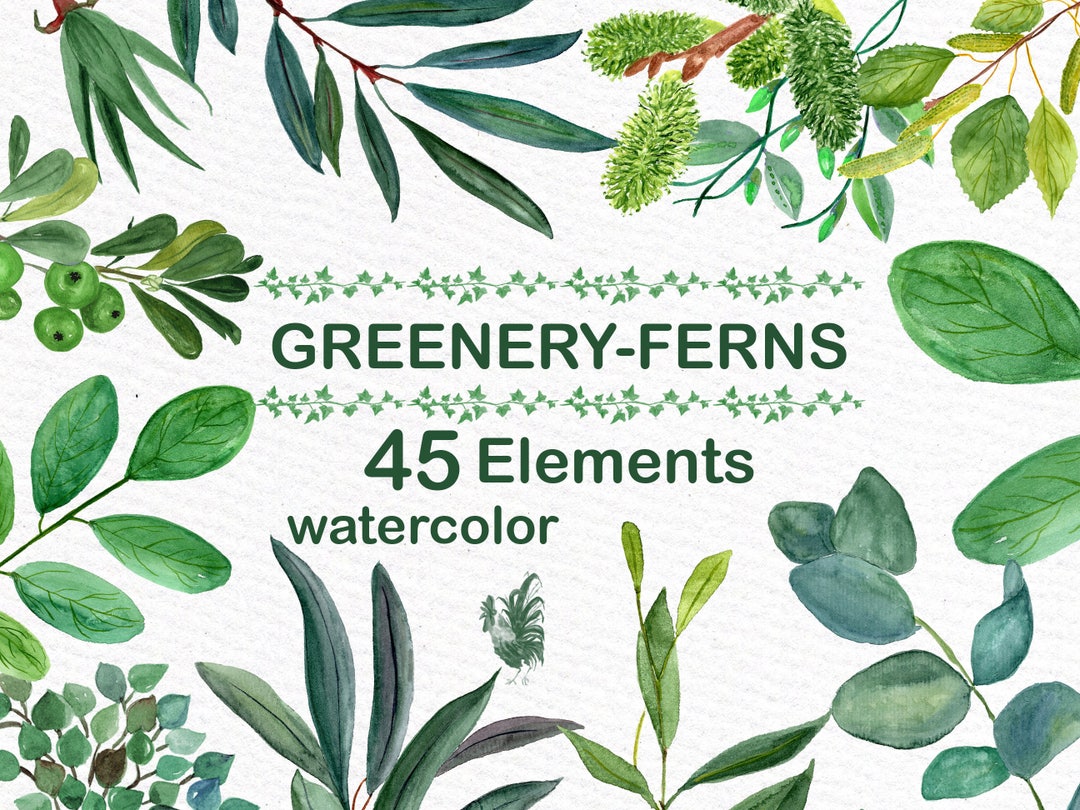 Watercolor Clipart: "ferns Clipart" Branches Clipart Greenery Clipart ...