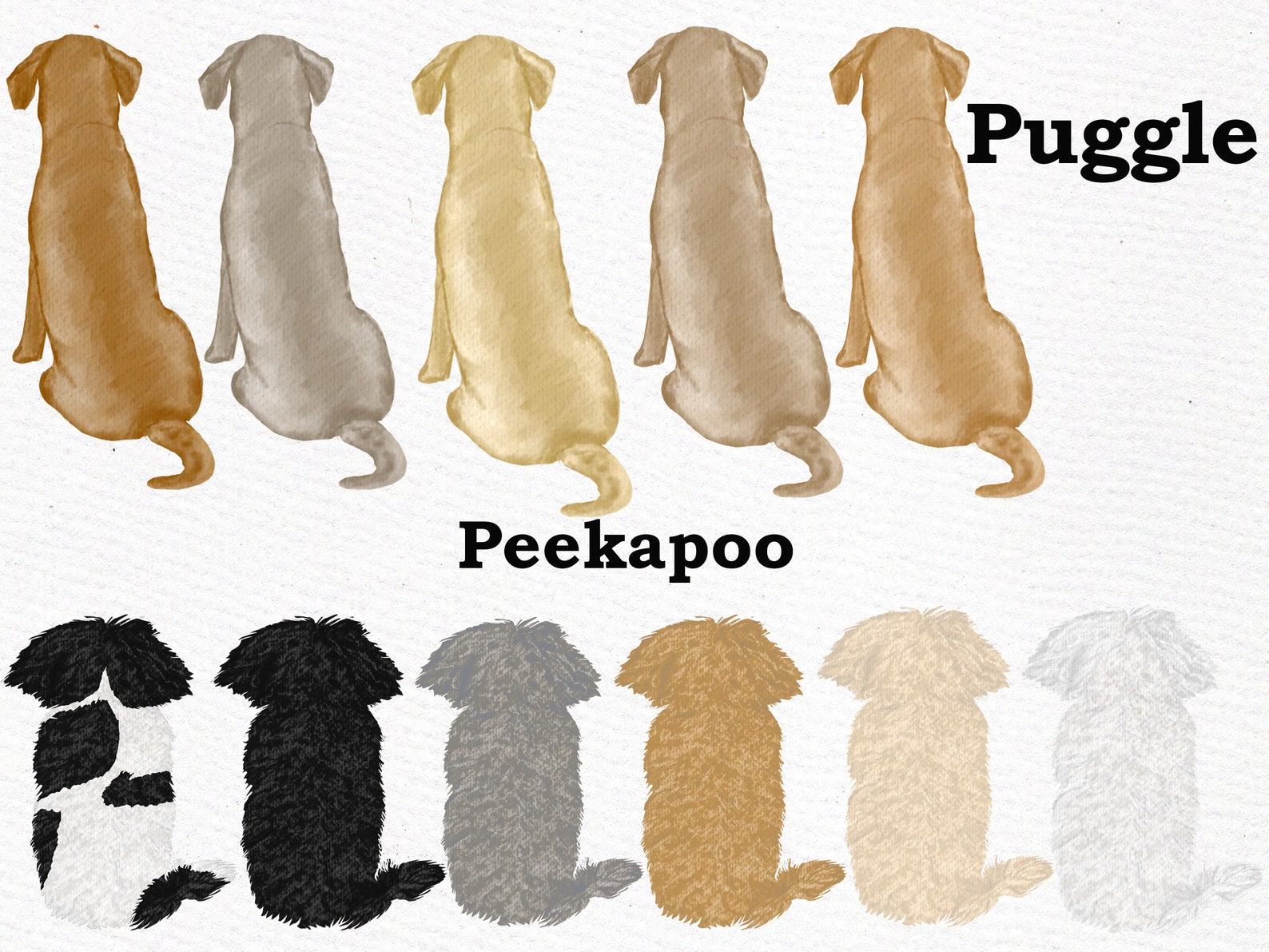 Dog Clipart: "watercolor Dogs" Cross Dog Breeds Pet Clipart Puppies ...