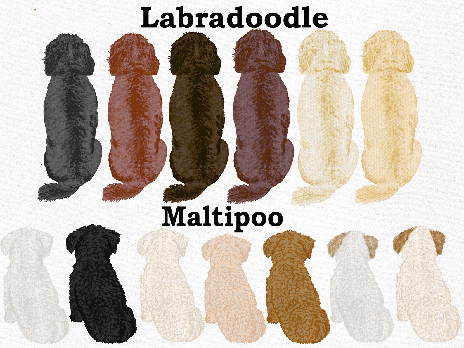 Dog Clipart: "watercolor Dogs" Cross Dog Breeds Pet Clipart Puppies ...