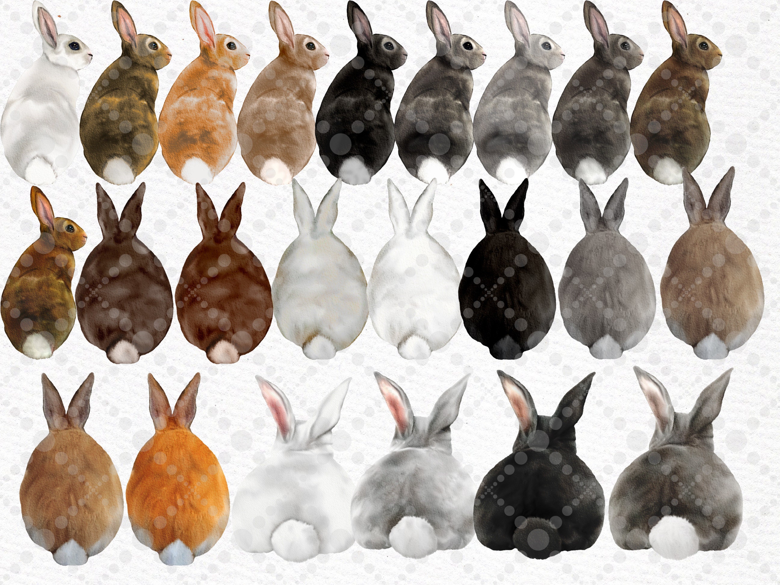 Watercolor Bunny Clipart: rabbit Clipart Kids With - Etsy