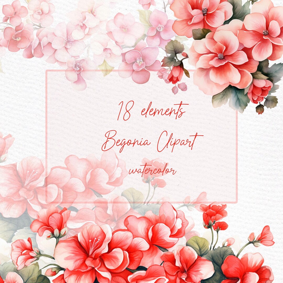 Watercolor Begonia Clipart: Red Flowers, Floral Borders, Frames (PNG ...