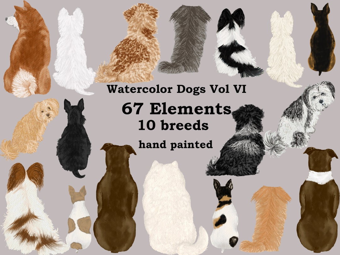 Dog Clipart: "watercolor Dogs" Dog Breeds Pet Clipart Puppies Clipart ...
