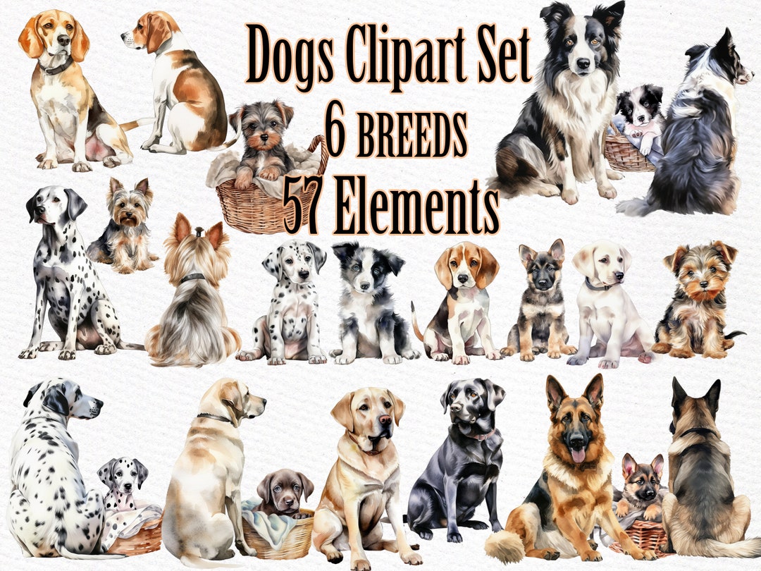 Watercolor Dog Clipart Bundle: 57 Breeds Illustrations (PNG Files, 300 ...