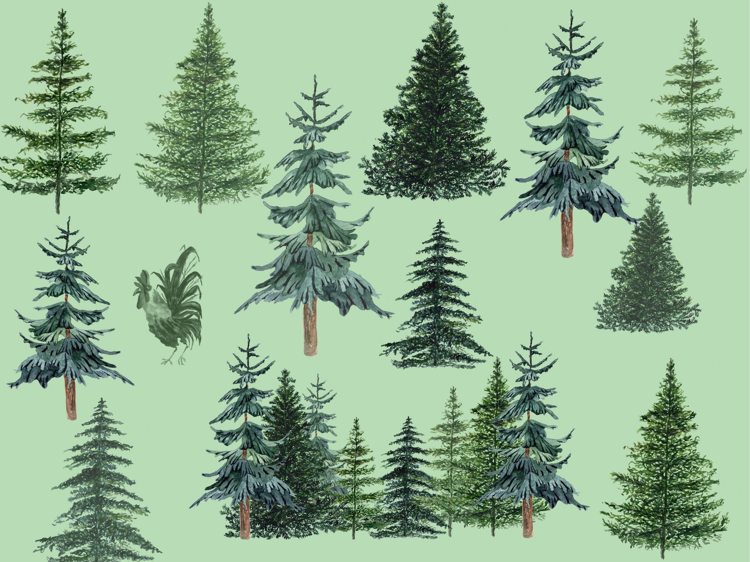 Conifers Trees Clipart: forest Clipart Pine Trees - Etsy UK