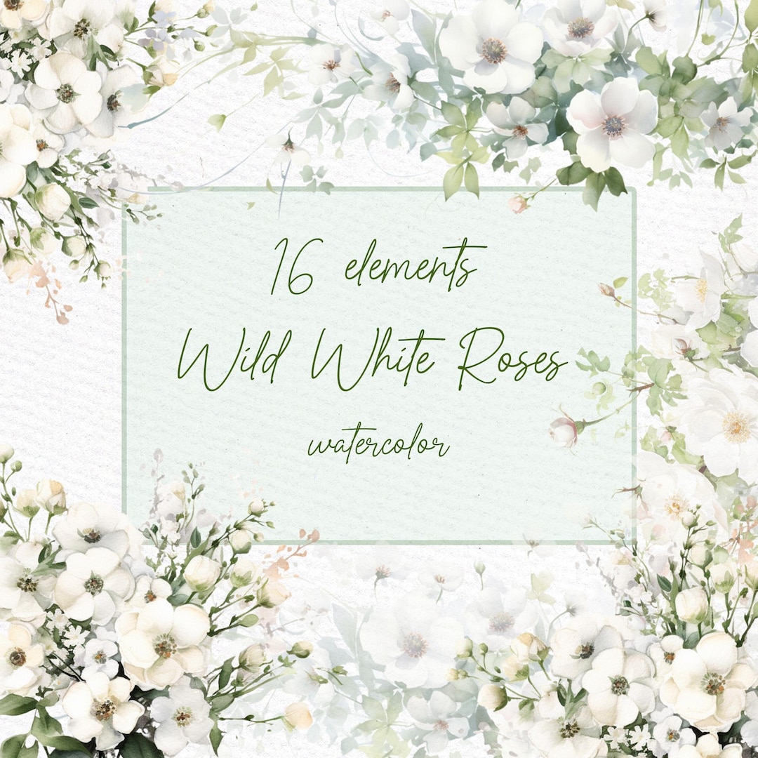 Watercolor White Roses Clipart: Floral Borders & Wreaths (PNG Digital ...