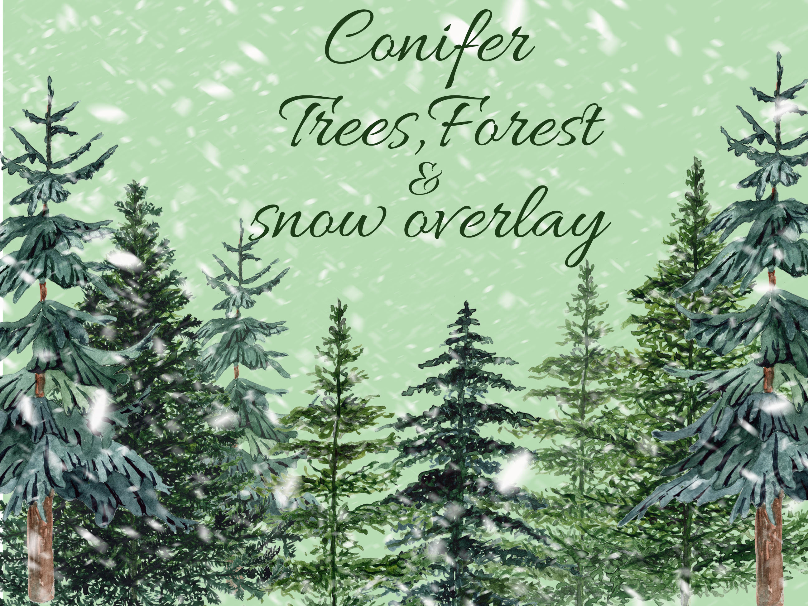 Conifers Trees Clipart: forest Clipart Pine Trees - Etsy UK