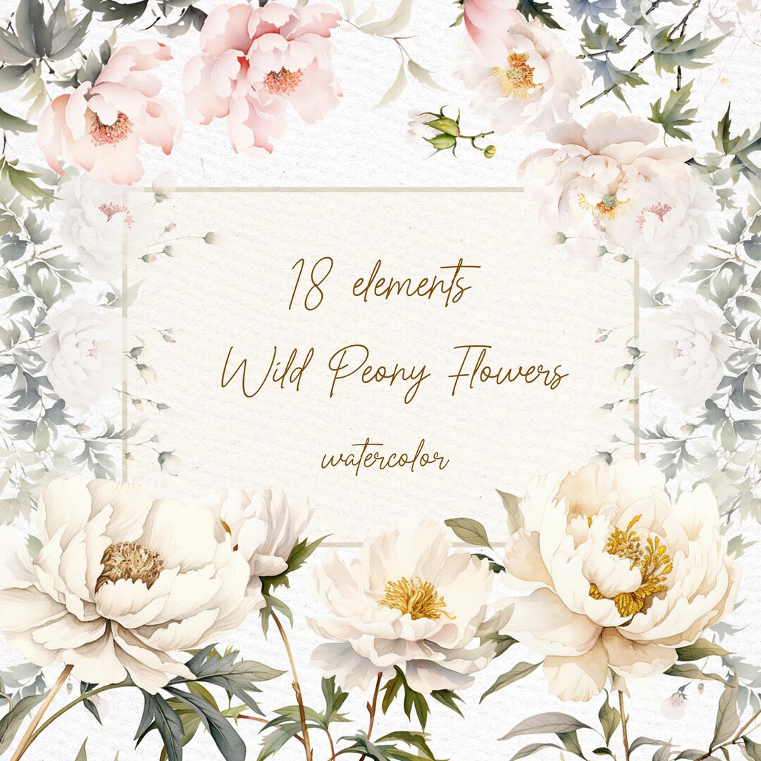 White Floral Clipart: "watercolor WHITE Peony" Wild Peonies Clipart ...