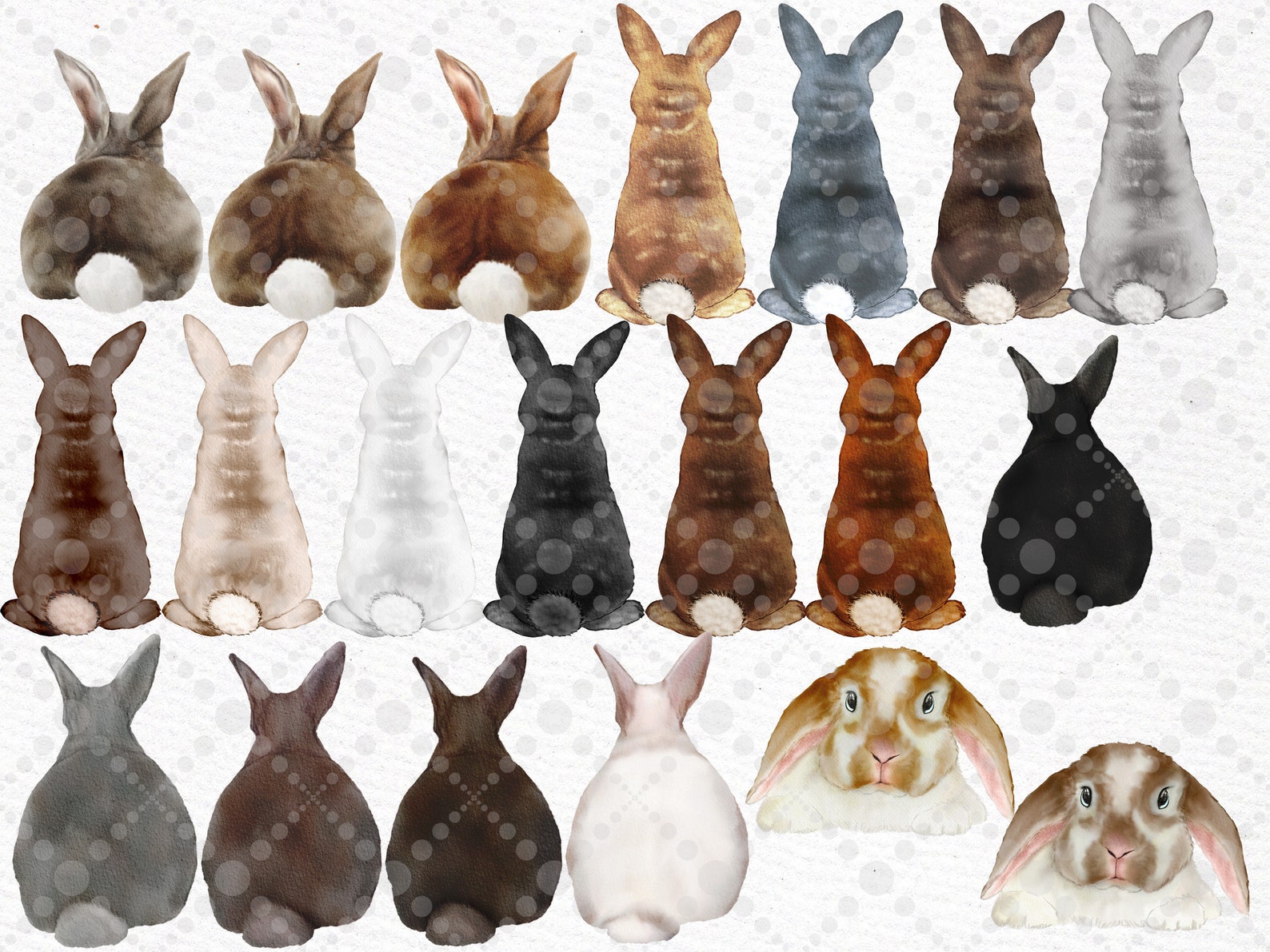 Watercolor Bunny Clipart: rabbit Clipart Kids With - Etsy