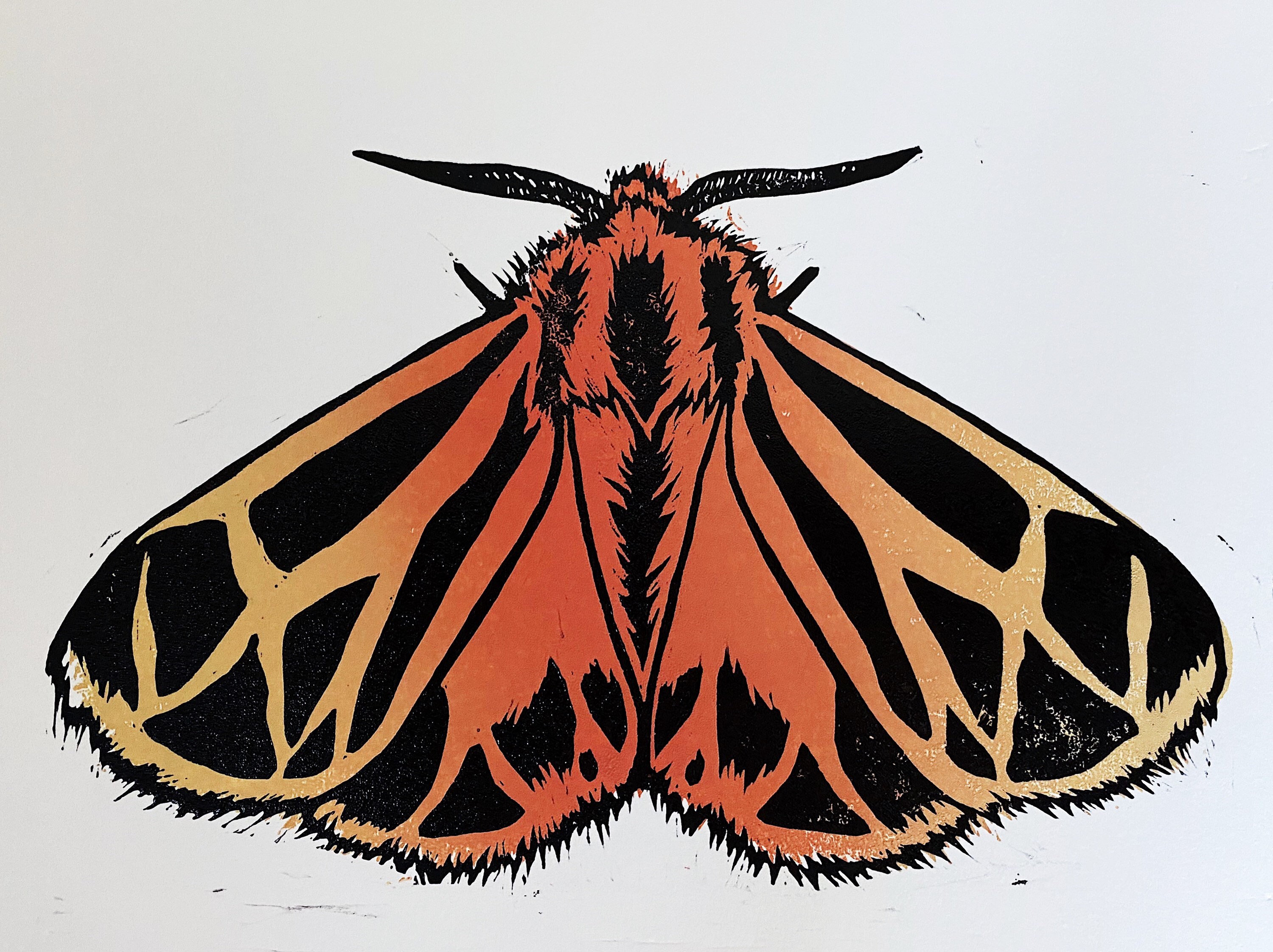 Harnessed Tiger Moth | Fine Art Block Print 8 X 10” - Etsy