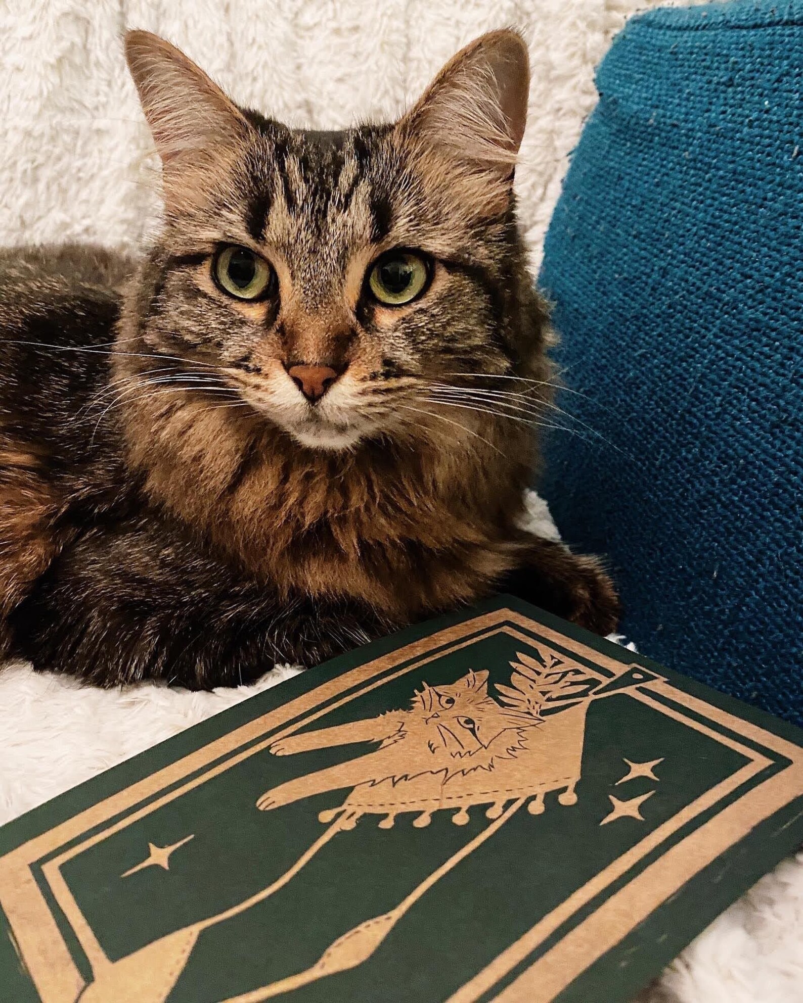 Fluffy Stocking Stuffer | Fine Art Linocut Print | Holiday Postcard 5 X ...