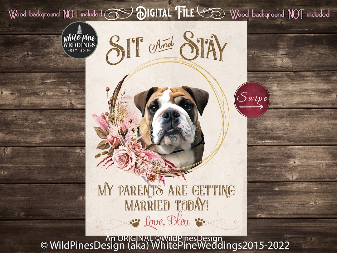Pet Welcome Wedding Sign Printable Boho Welcome Sign Sit and - Etsy