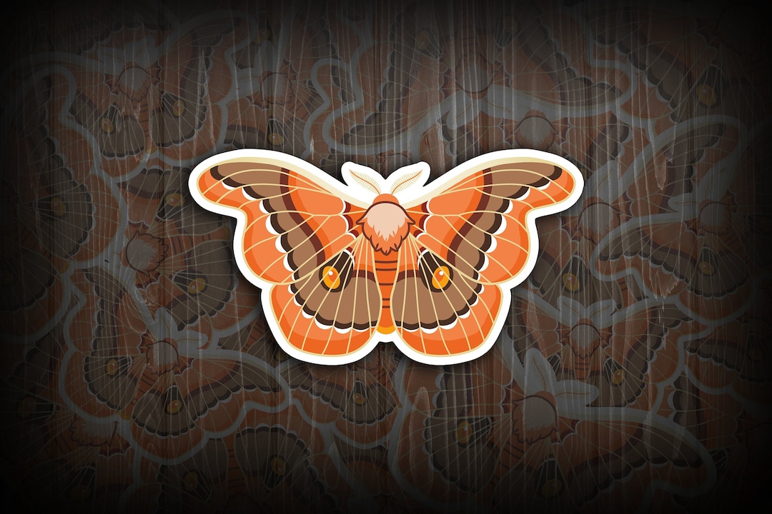 Polyphemus Moth - Original Design - Etsy