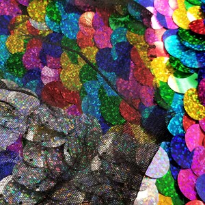 Shiny Rainbow 20mm Paillette Sequin on Mesh Fabric Sold by Yard - Etsy