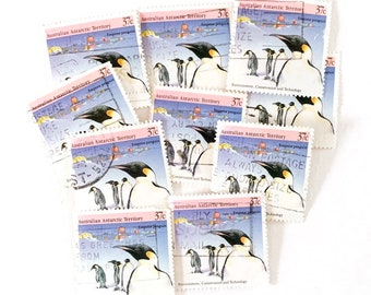 Penguin stamp | Etsy