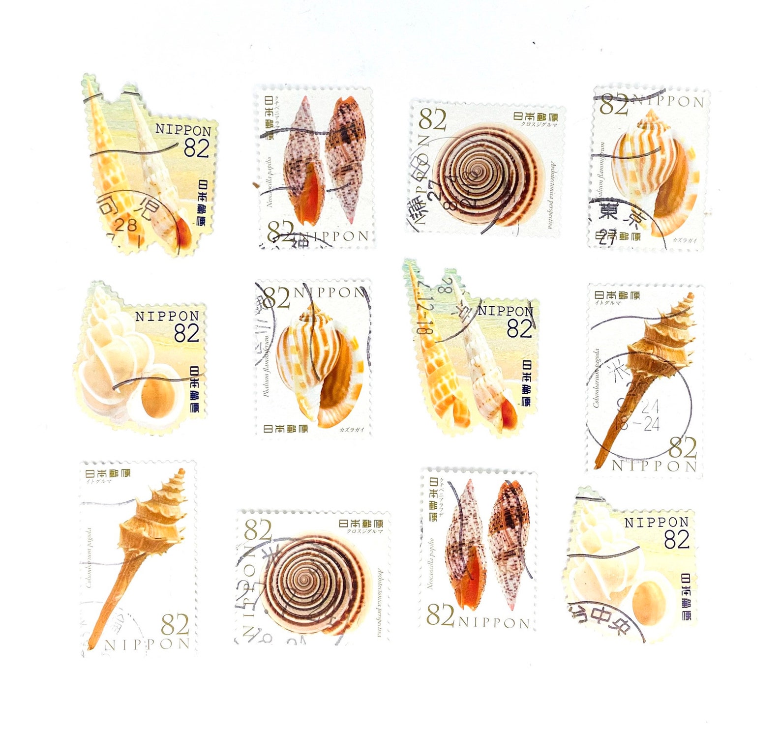 12 X Shells, Used, Japanese Postage Stamps All off Paper - Shell Beach ...