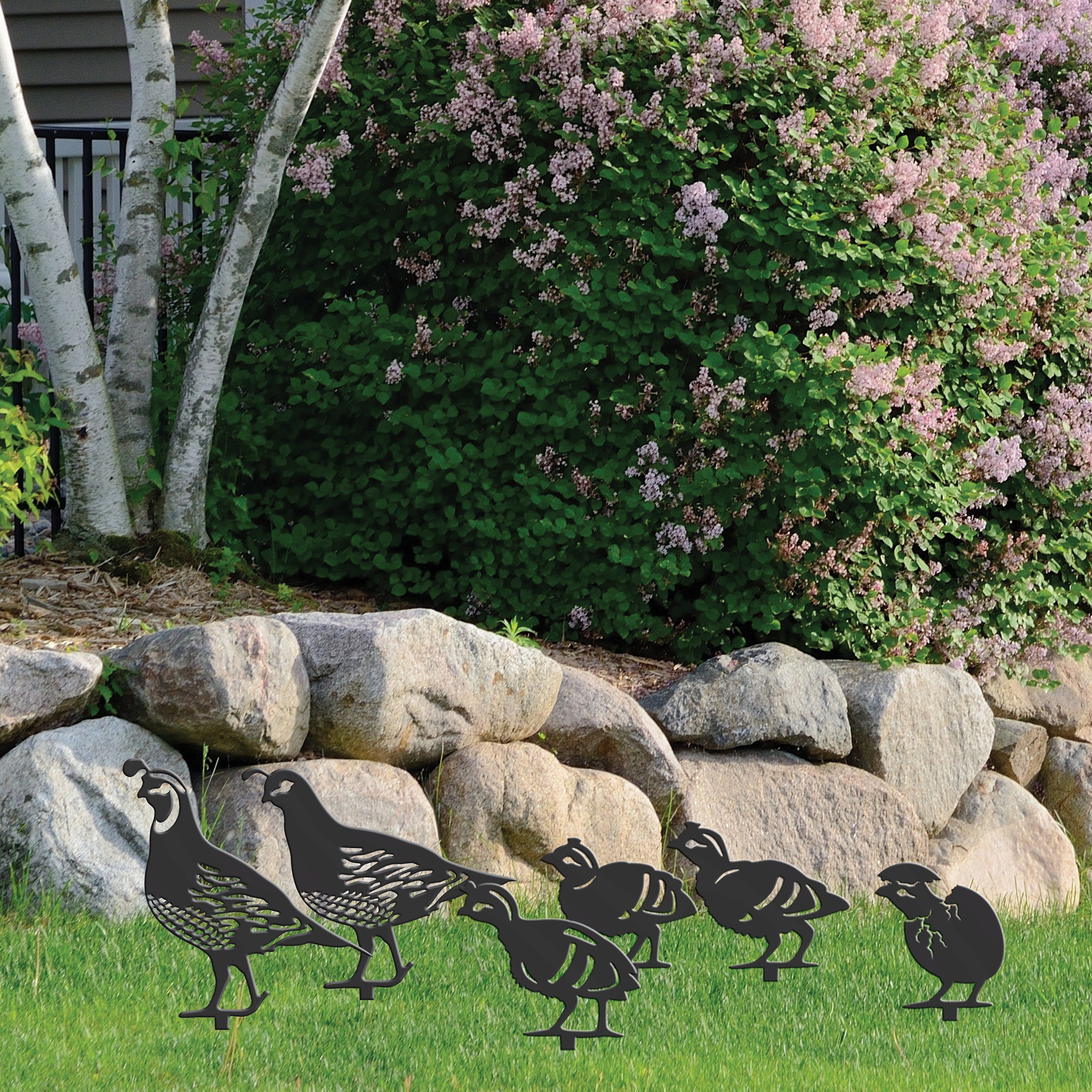 Quail Family, Bobwhite CNC Cut File, Laser, Glowforge, Cricut, Plasma ...