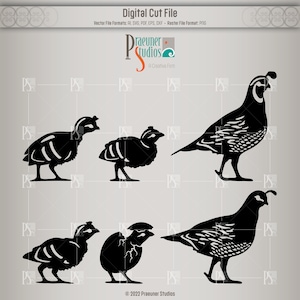 Quail Family DXF, Bobwhite CNC Cut File, Laser, Glowforge, Cricut ...