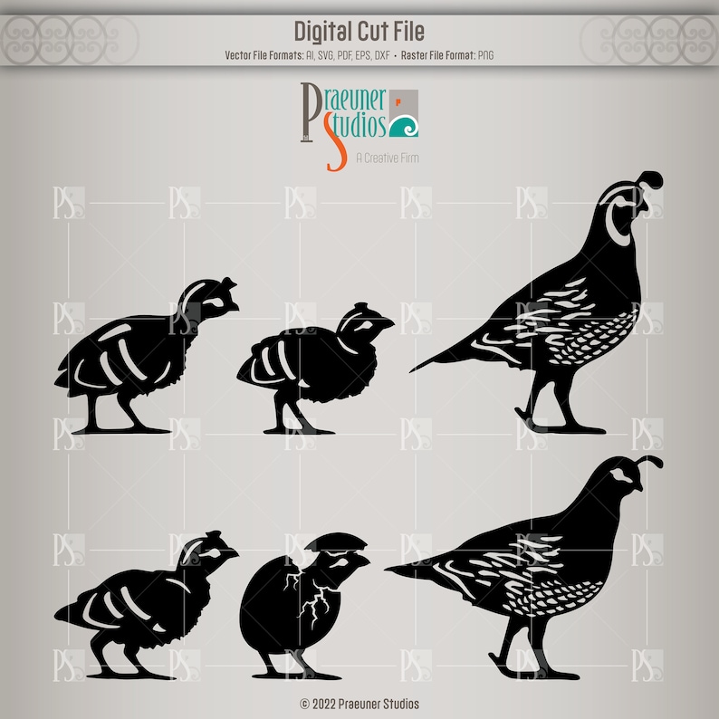 Quail Family, Bobwhite CNC Cut File, Laser, Glowforge, Cricut, Plasma ...