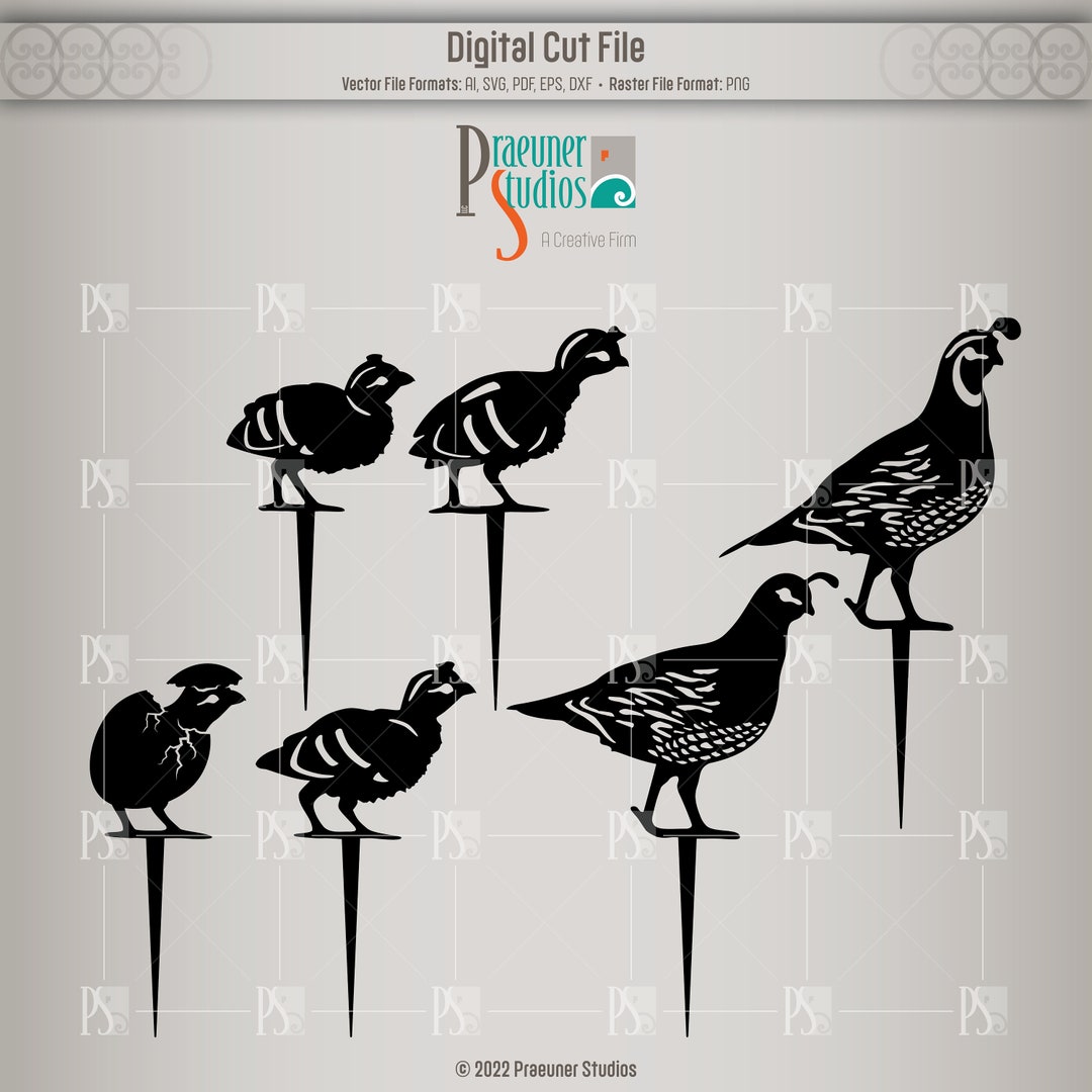 Quail Family, Bobwhite CNC Cut File, Laser, Glowforge, Cricut, Plasma ...