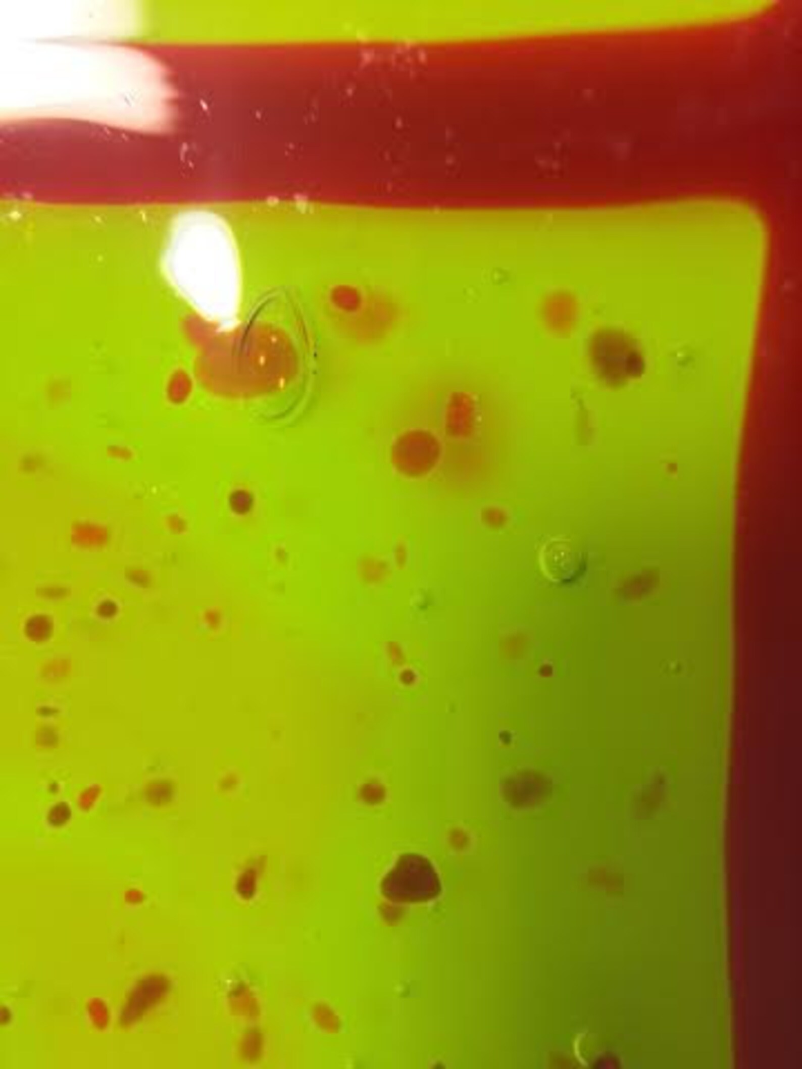 Square Fused Glass Plate. Opaque Spring Green Fused Glass W/ - Etsy