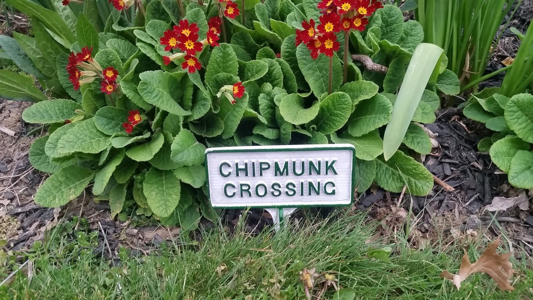 Chipmunk Crossing Garden Sign – Cast Aluminum Yard Stake, Handmade in ...