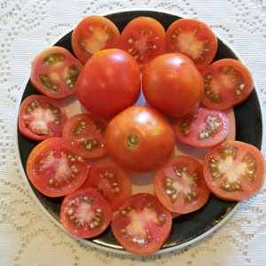Heirloom Tomato- MOUNTAIN PRINCESS- 45 to 68 Day -red -determinate - 25 ...
