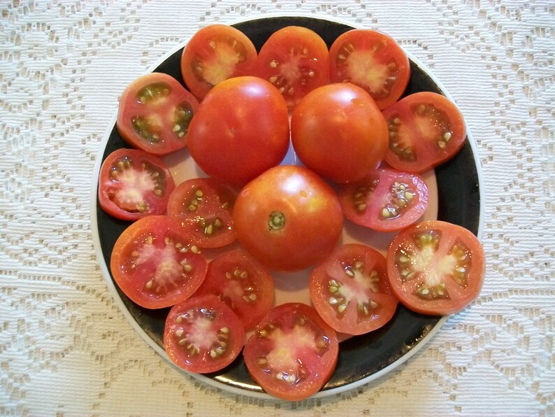 Heirloom Tomato MOUNTAIN PRINCESS 45 to 68 Day red - Etsy