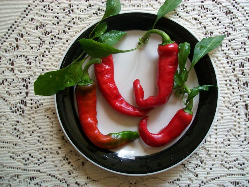 Hot Pepper GOAT HORN 75 Day 13000 Scovilles Moderate - Etsy